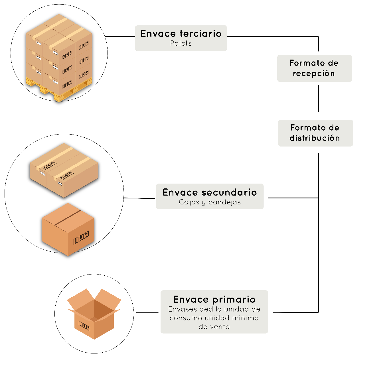 Tipos de embalajes - Aliadas cargo