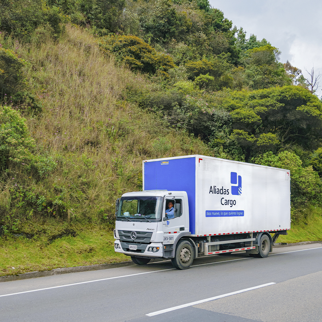 Carga Masiva - Aliadas cargo